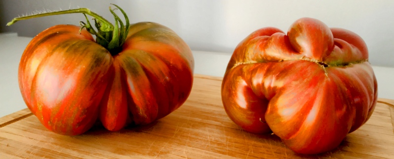 Alte Sorte Tomaten